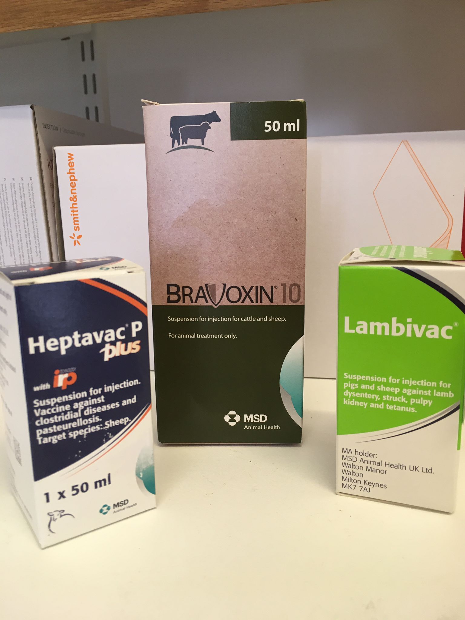 All you need to know about sheep vaccines - Uckfield Vets